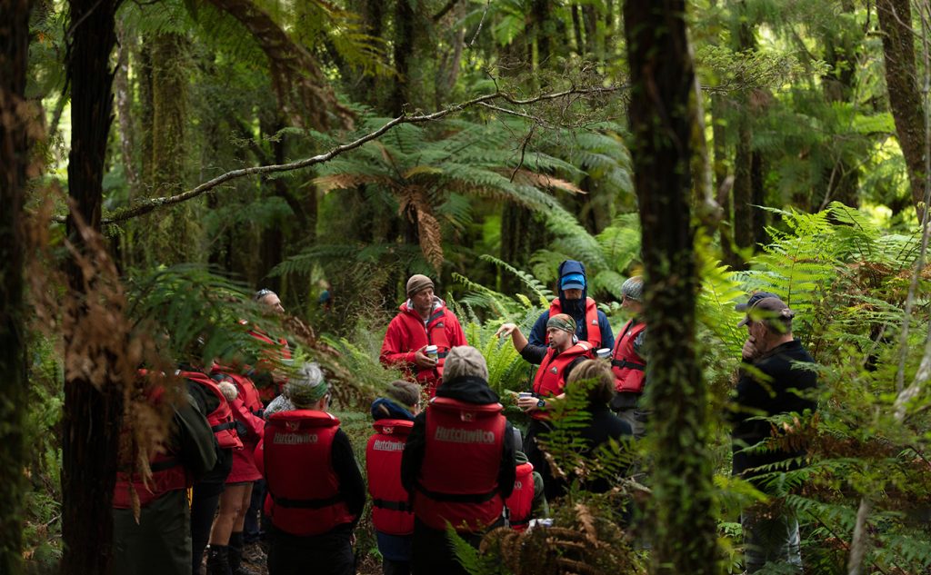 6 Day Hollyford Track Experience | New Zealand Holidays